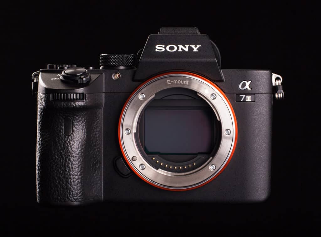 Top 6 Best Cameras for Bloggers and Vloggers – A Self Guru