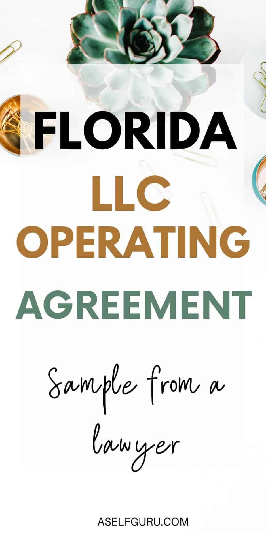 Florida LLC Operating Agreement Sample (From Lawyer)